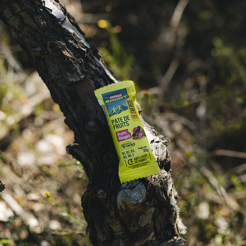 Pâte de fruits Fruits Rouges 30g – Andros Sport Prod